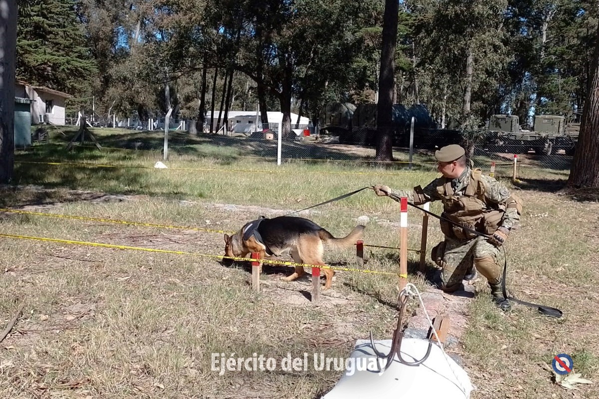Visita inspectiva al Batallón de Ingenieros de Combate Nº 6 - Ejército ...