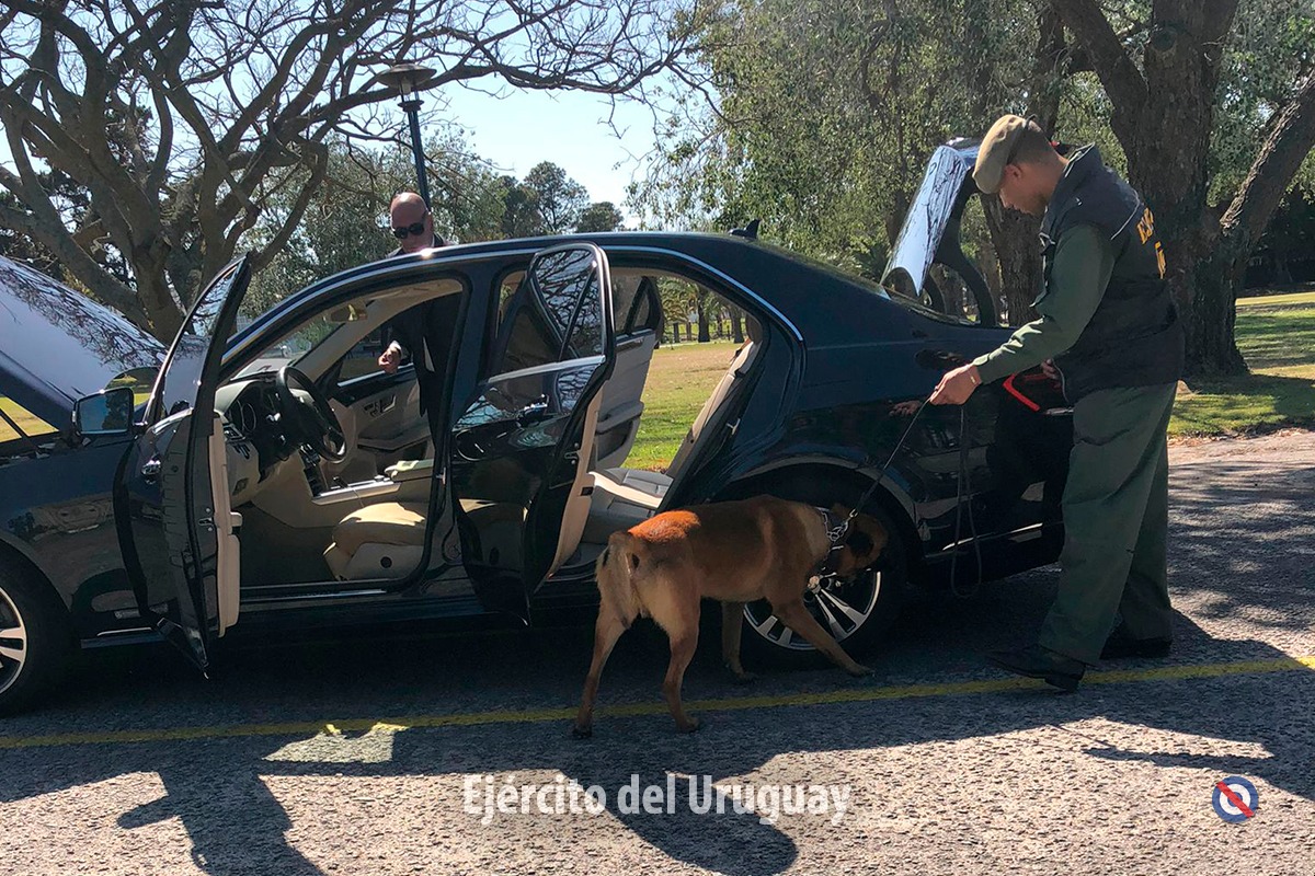 Inspección por parte del Grupo de Operaciones K-9 | Ejército Nacional